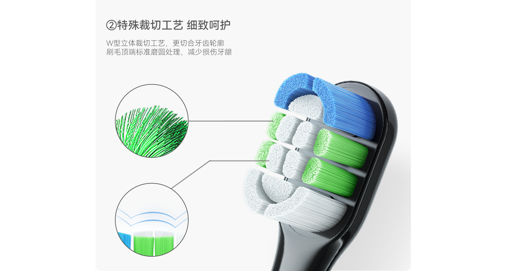 力博得智能牙刷刷头标准型2支装（适配牙刷2/2s/星钻）